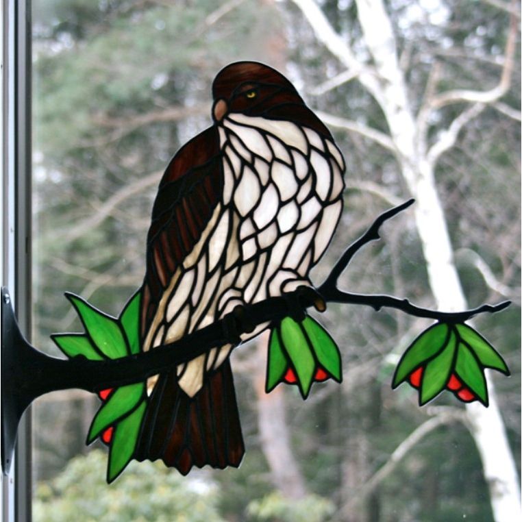 Red-Tailed Hawk Kit – Stained Glass Stuff