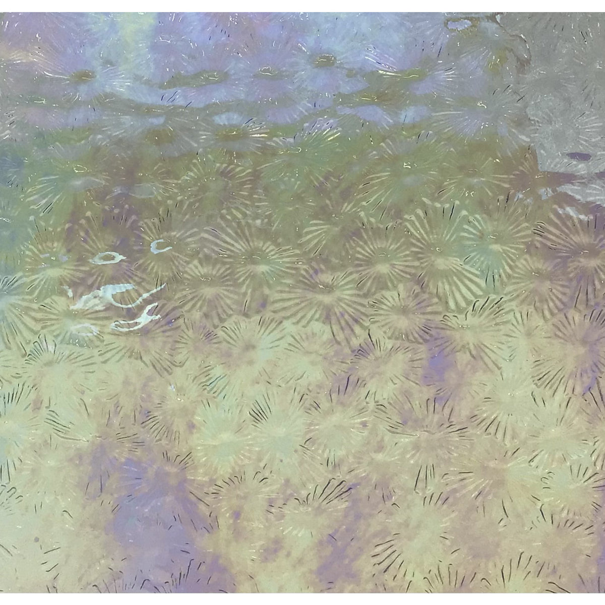 PW 01FLOR-IRID – Stained Glass Stuff